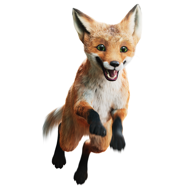 Umweltfreundliche Rabbat Produkte – Die Schule der magischen Tiere ...